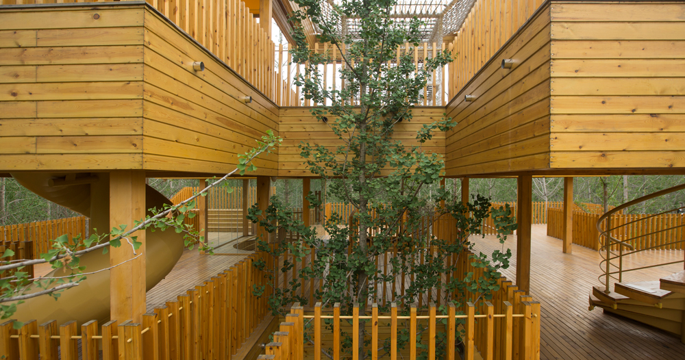 MADAM and hexia's ginkgo forest tea house is a cluster of playful volumes
