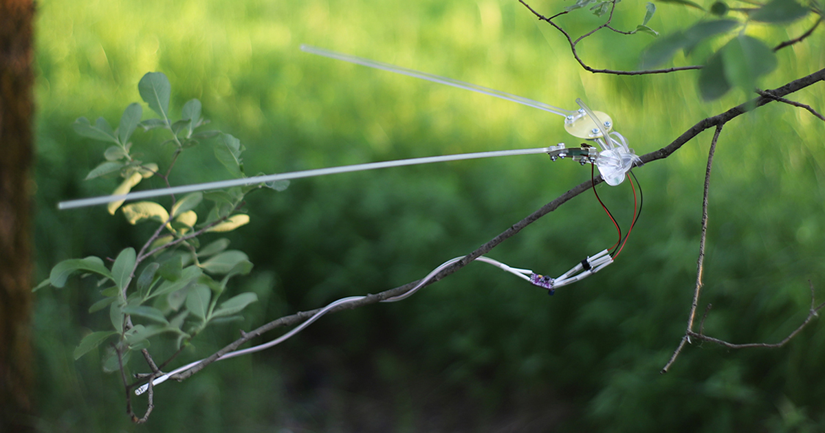 the anemokinetics project uses the movement of trees to generate ...