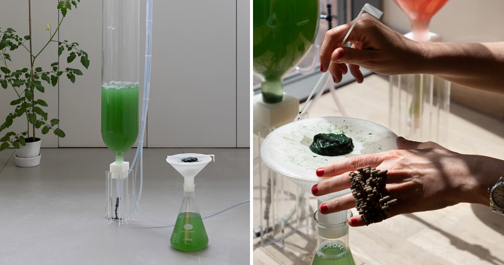BioBombola by ecoLogicStudio is a domestic algae garden