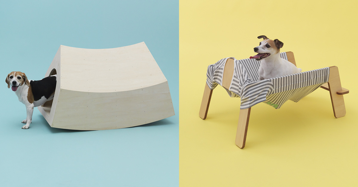 architecture for dogs exhibition at japan house london with kazuyo ...