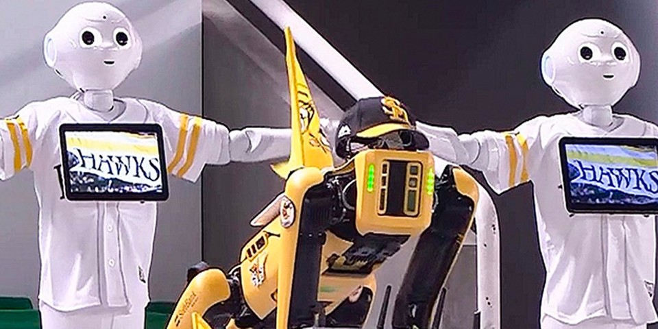 a japanese baseball team replaced fans with cheerleading robots