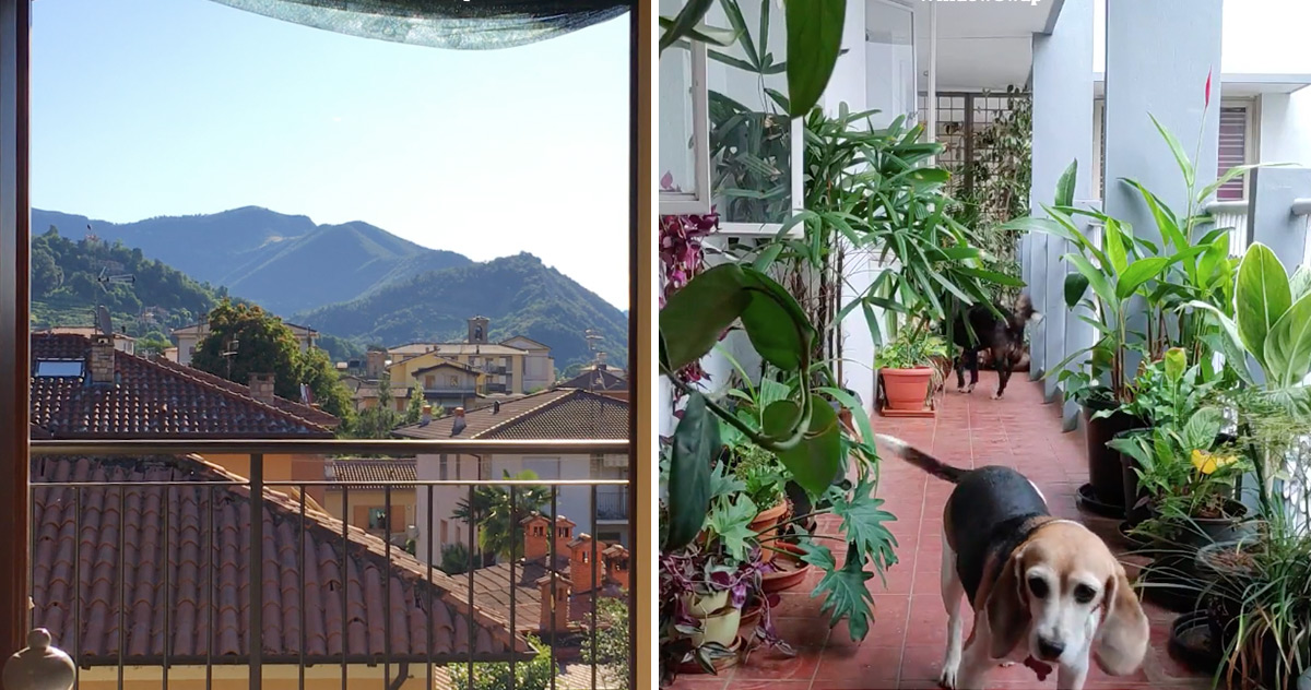 windowswap website lets you look out a stranger's window