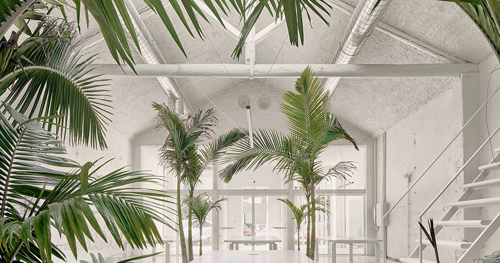 arquitectura-G creates 'acid house,' a light-filled, creative co ...