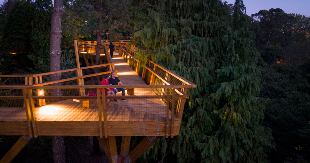 carlos castanheira elevates visitors above serralves with canopy walkway