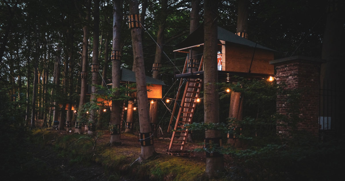 treehouse hotel complex offers glamping experience along forest path in ...