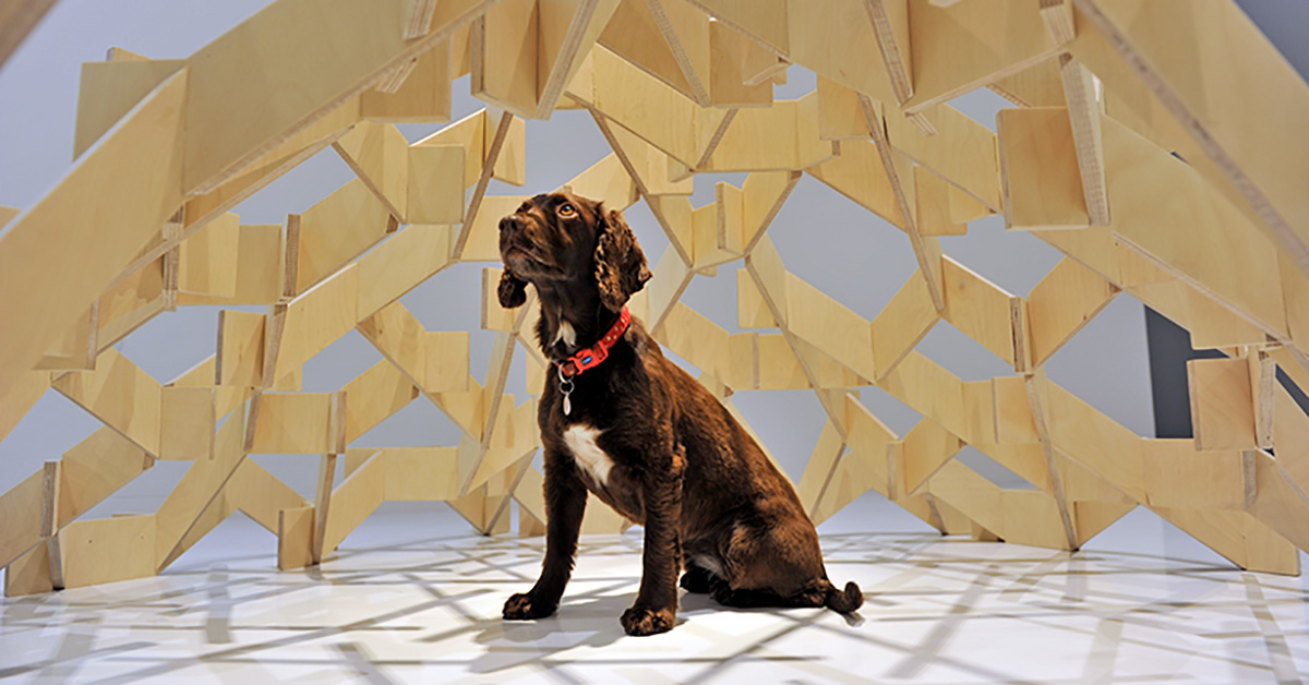 architecture for dogs unveils new project by asif kahn at japan house ...