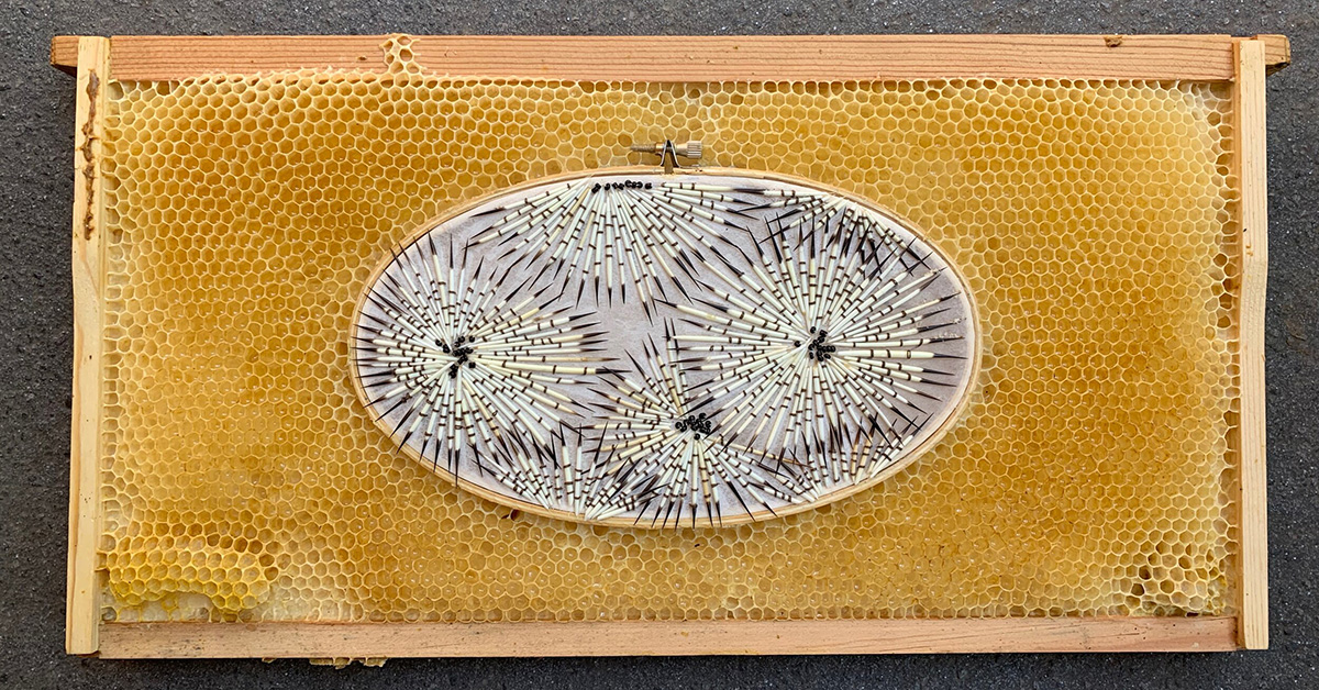 ava roth collaborates with bees in embroidery artworks contained by ...