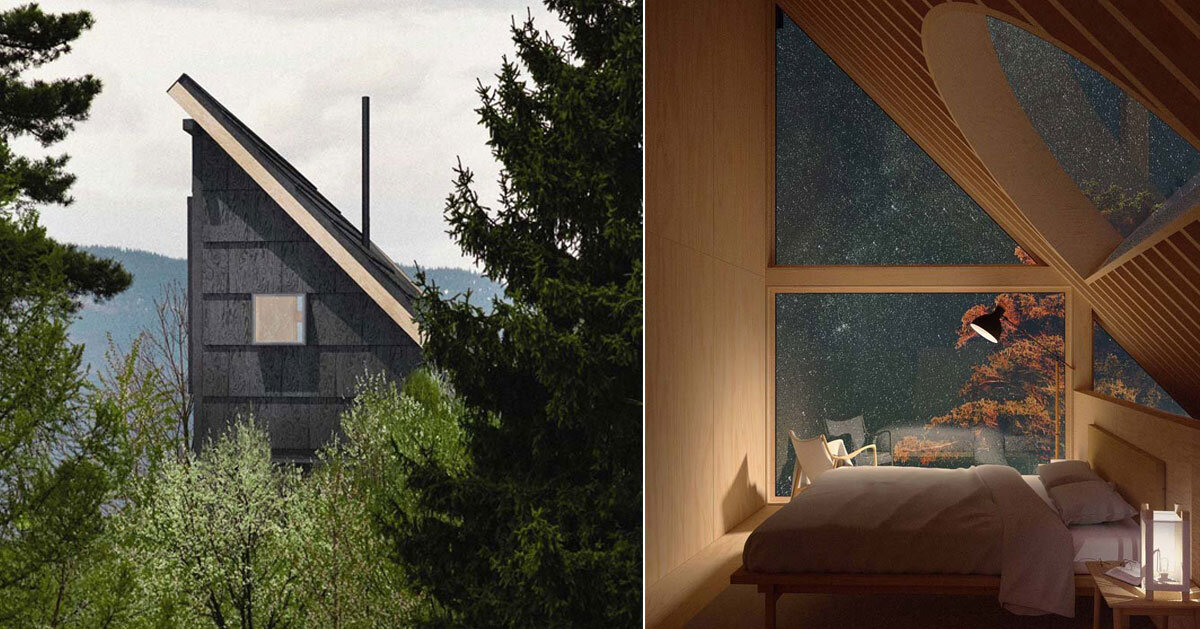 mimo architects envision forest cabin that 'smiles up at the sky'