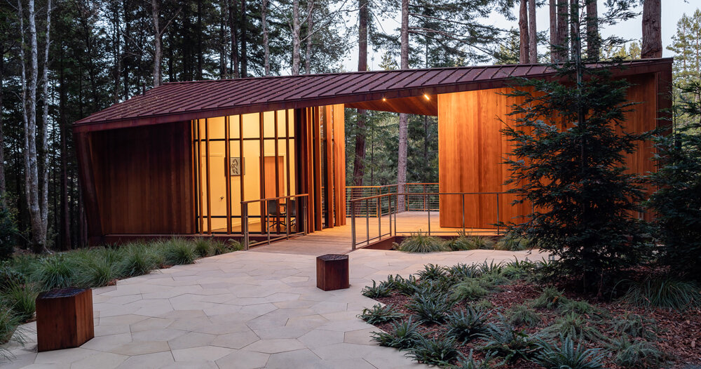 openscope gently frames california's better place forest