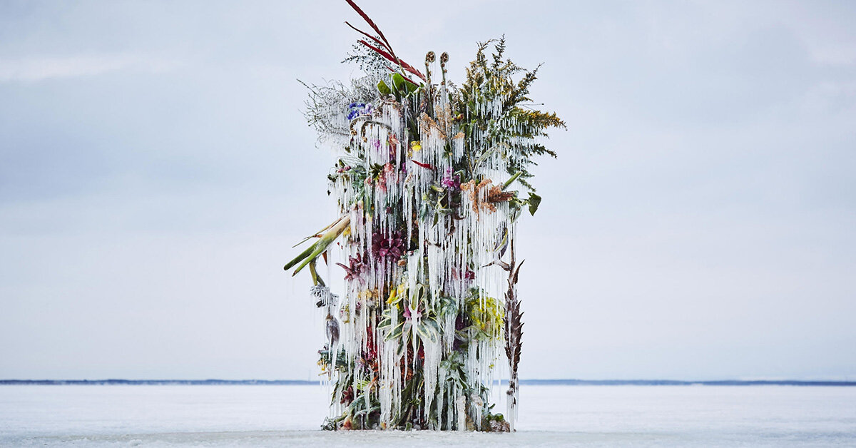 in frozen flowers, azuma makoto uses ice to preserve floral installations