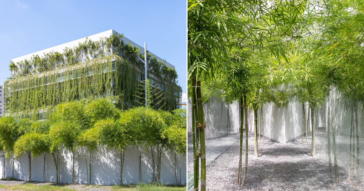 MIA design studio builds own office in vietnam as open plan volume ...