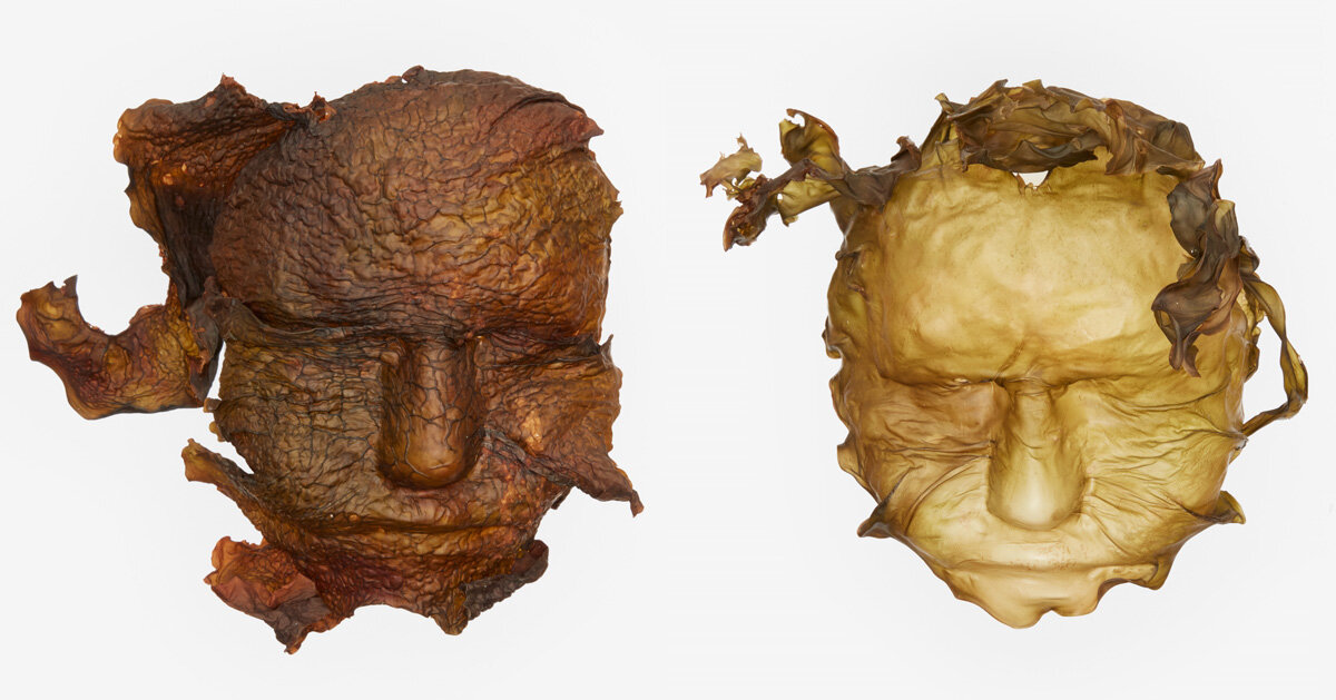 katrín thorvaldsdottir sculpts intricate masks using raw organic kelp ...