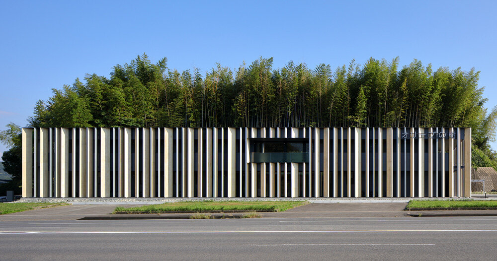 matsuyama architect and associates completes 'olive tree' group home