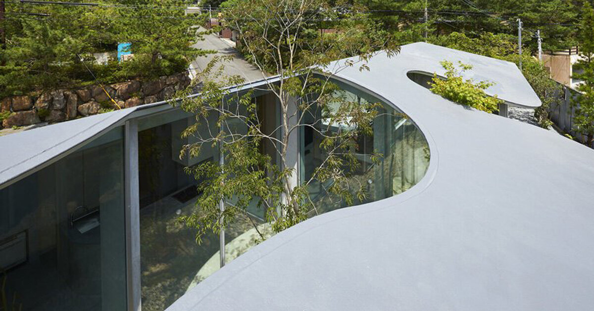 sculptural roof curves around trees in tomohiro hata's house in okuike ...