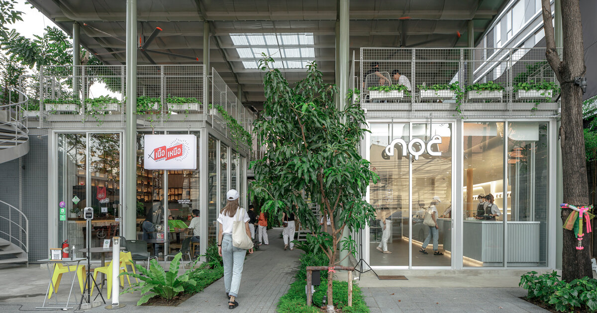 all(zone) designs an 'urban backyard' filled with greenery in bangkok