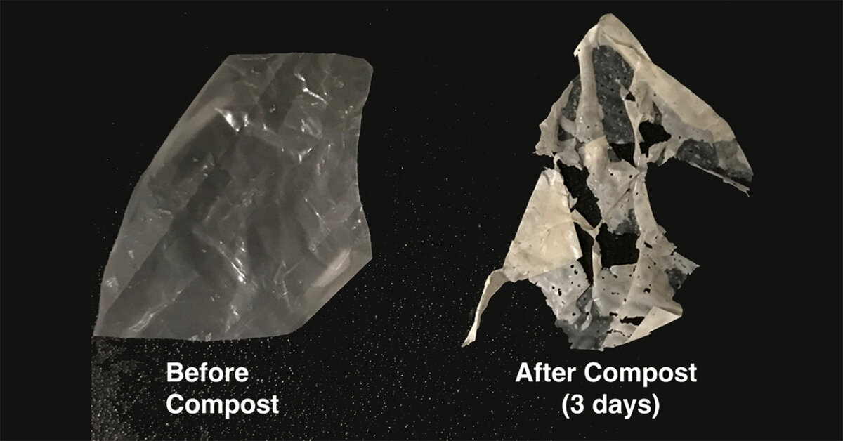 scientists unveil process that makes biodegradable plastics truly ...