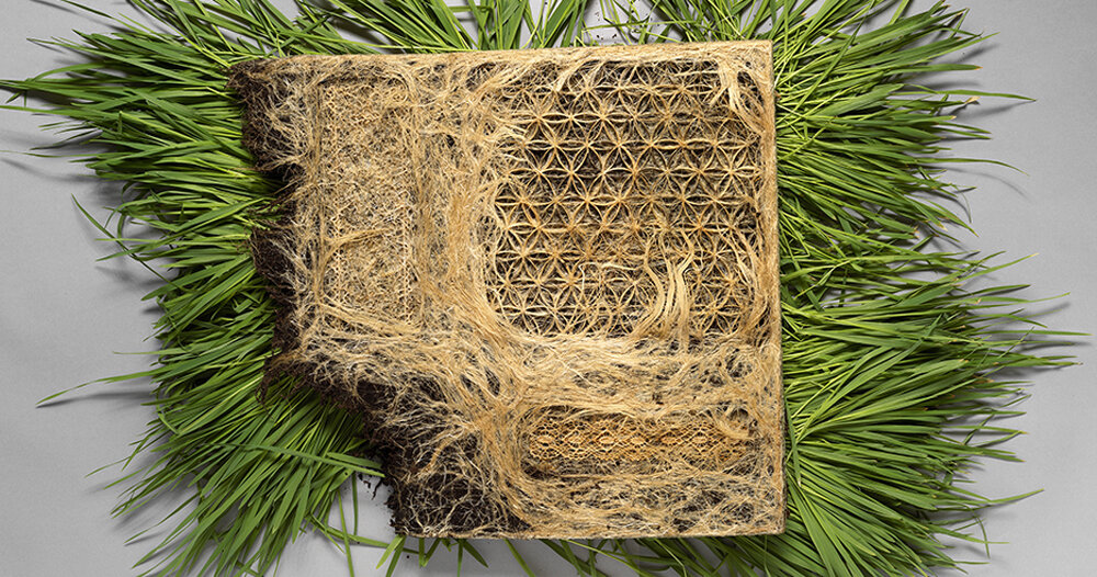 diana scherer's intricate roots could be a carbon capturing eco-material