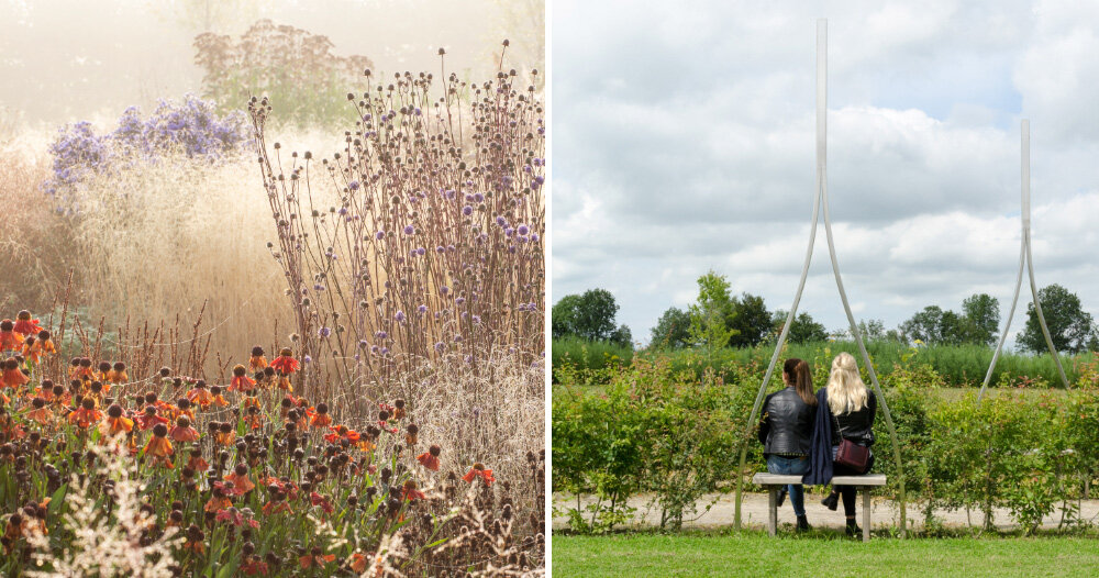 piet oudolf and peter veenstra on 'sharawadgi' in garden design