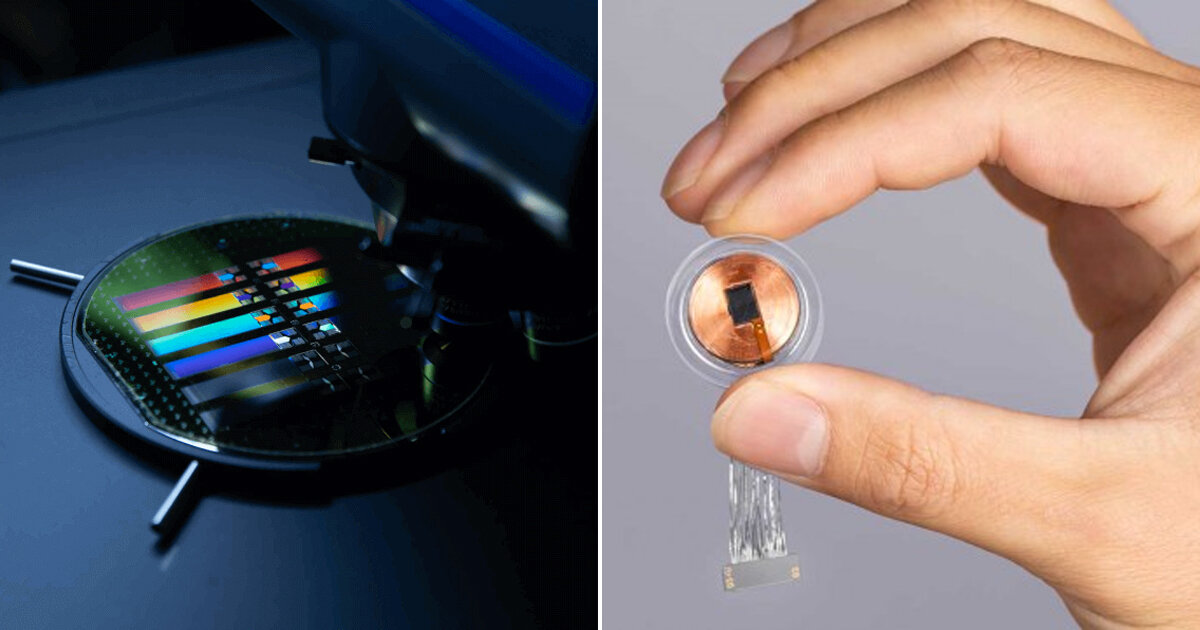 elon musk says neuralink brain chip will make language obsolete