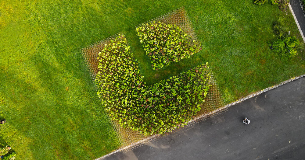 nomad studio sculpts a woodland forest of floating japanese kokedamas