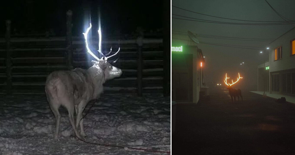 reflective reindeer antlers aimed to help prevent road accidents in finland