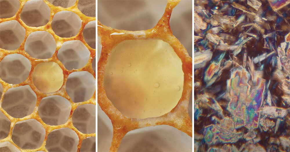 'macrofying' zooms into depths of everyday objects to reveal new worlds