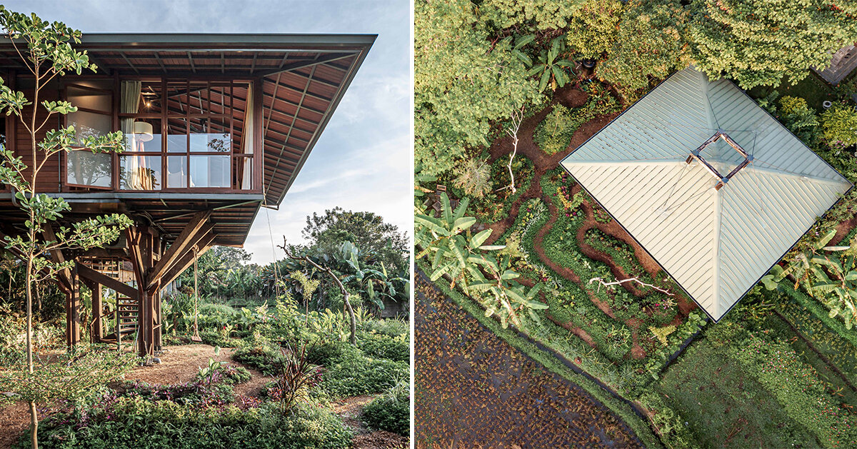 stilt studios' wooden treehouse C hovers above blooming garden in bali