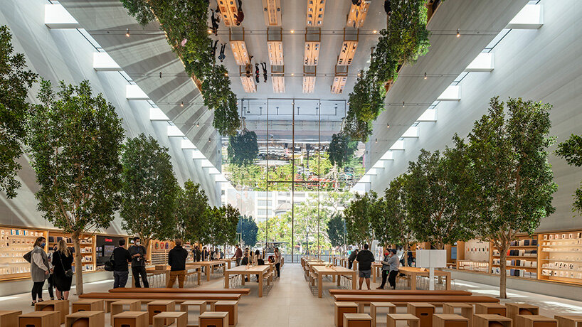 foster + partners unveils airy, light-filled apple at the grove store ...