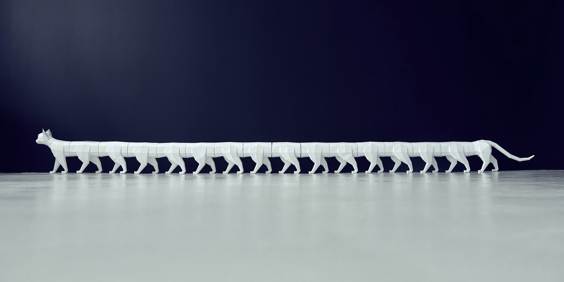 INDIE CAT is a paper sculpture that can reach up to 100 meters