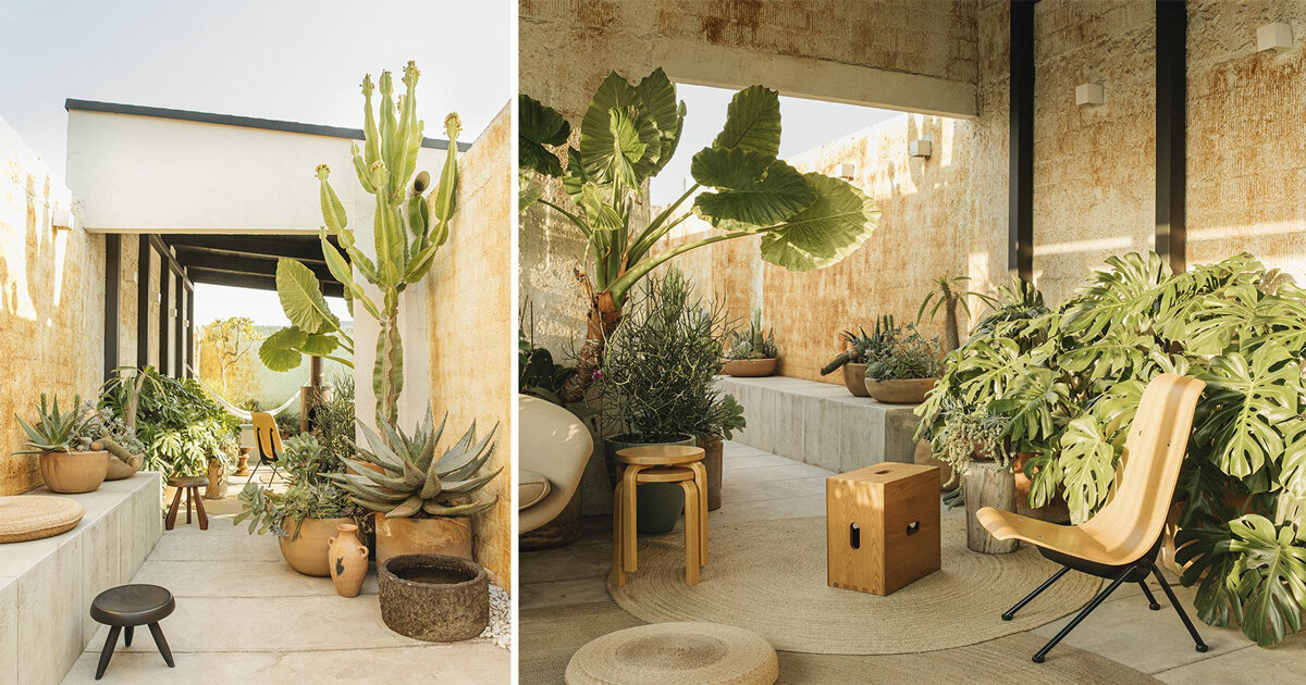 marc pascal brings a desert-like vibe to rooftop terrace in mexico
