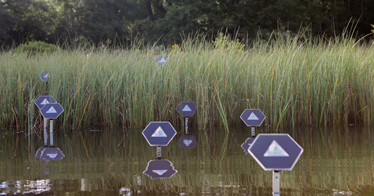 tane is a self-reliant 'digital organism' that can survive in nature ...