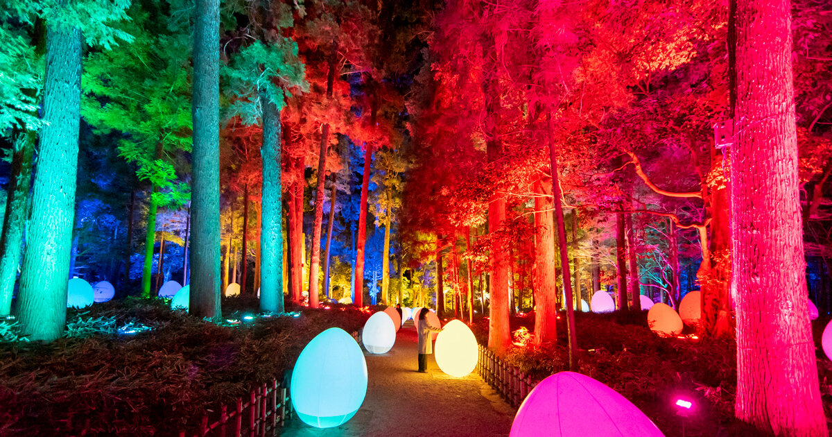 teamLab digitizes nature for interactive light experience in japan