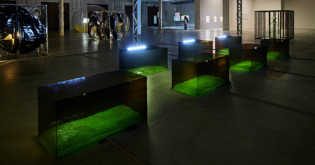 anicka yi brings bacteria to metaspore, a sensorial exhibition at milan ...