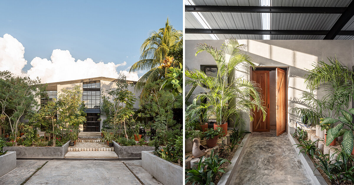 misael marin converts warehouse into plant-filled rest house in mexico