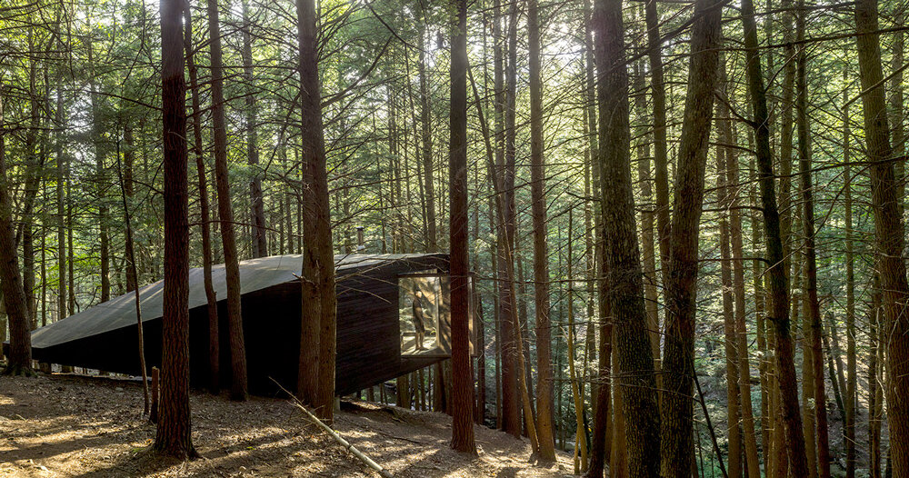 jacobschang architecture's 'half-tree house' floats above the woods