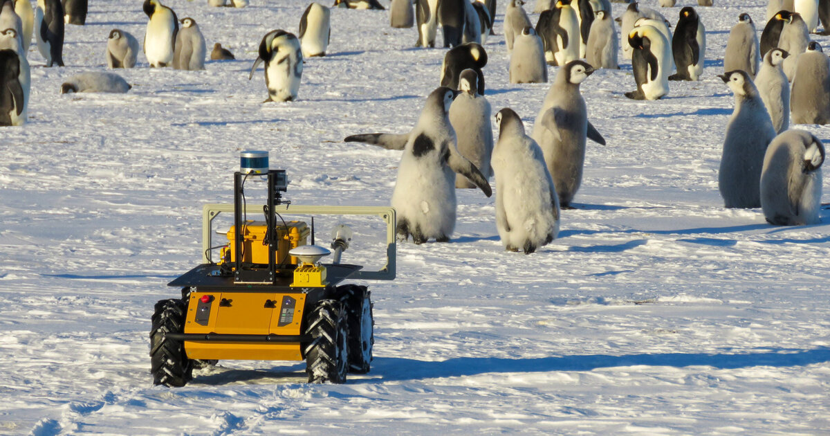 meet ECHO, the yellow robot that's monitoring emperor penguins in ...