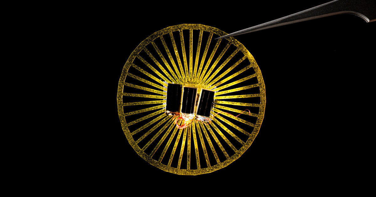 these tiny solar powered sensors float in the wind like dandelion seeds