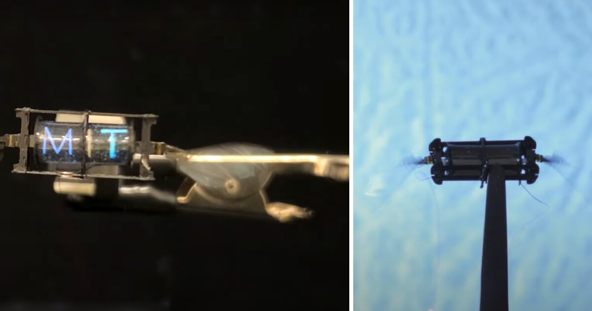 WATCH: MIT scientists create robot fireflies that can help search-and ...