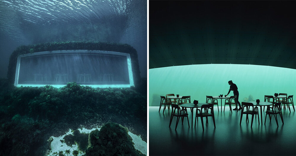 wild nature takes over snøhetta's underwater restaurant in norway