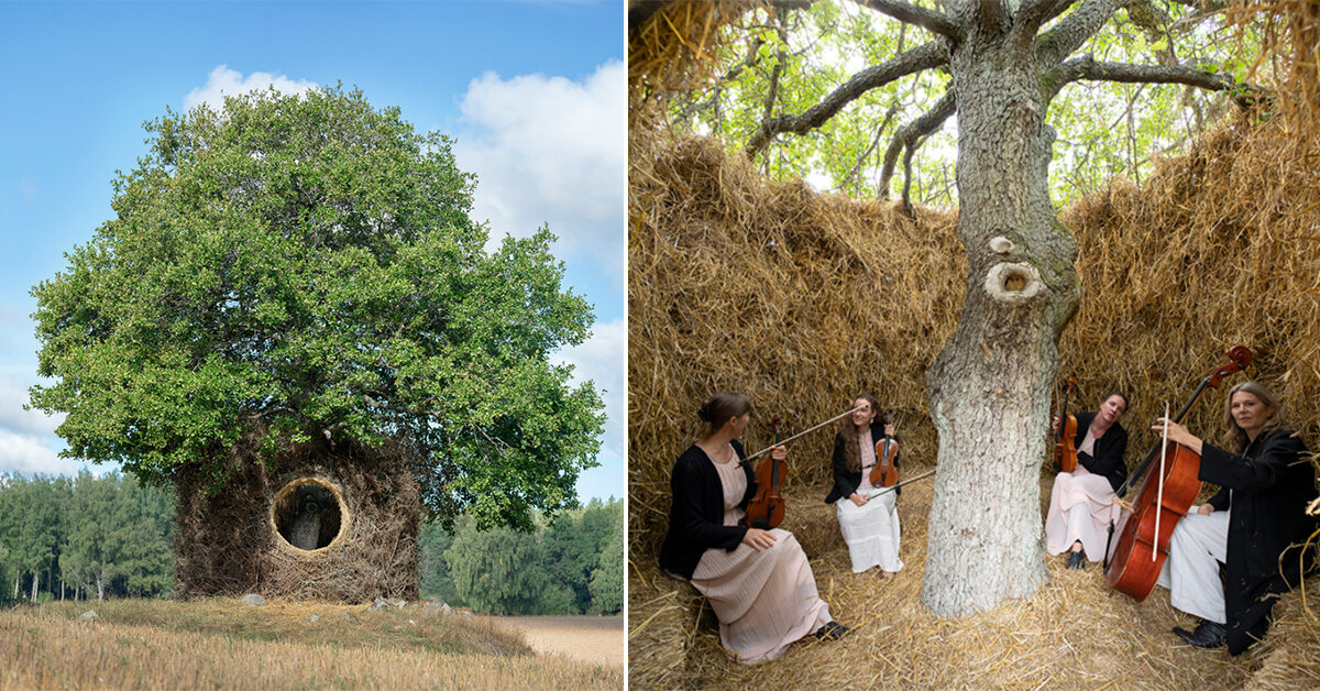 'one tree four seasons - season II' by ulf mejergren + antti laitinen