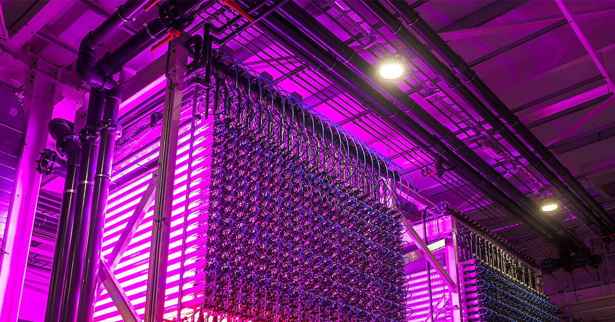 VAXA's vertical-farming technology converts clean energy into sustainable algae
