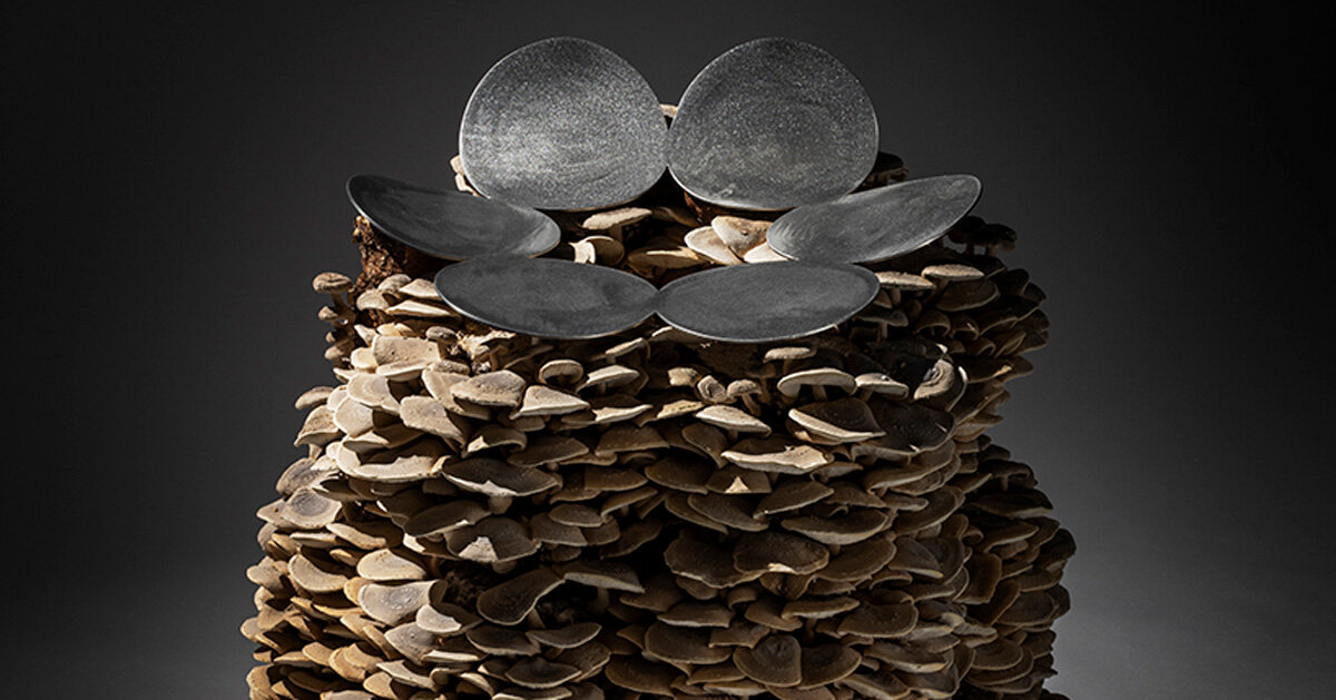 fungi grow and bloom like flowers in satoshi itasaka's mushroom stool