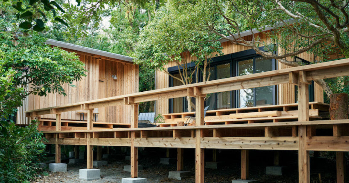 'sumu yakushima' stands in the wilderness of japan through regenerative architecture