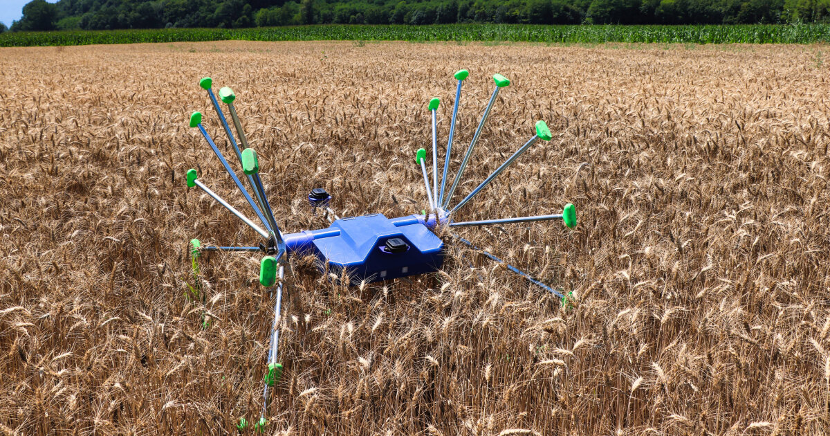 robot crop inspector 'SentiV' wheels itself into the fields to detect ...