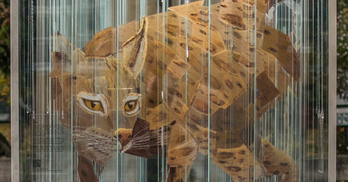 thomas medicus' glass shard installation confronts climate change