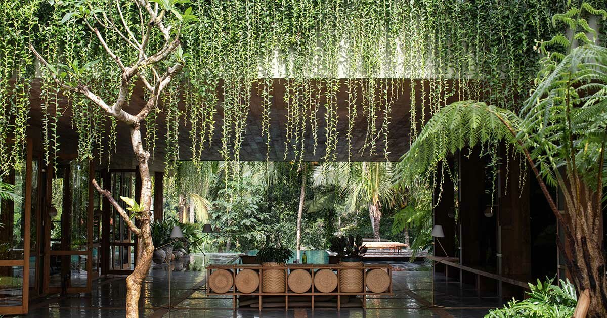 perched amidst a forest in bali, the ravine dwelling blurs the line ...