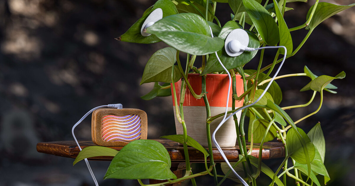 plantwave converts biorhythms into music for indoor environments