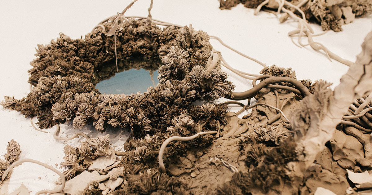 phoebe cummings' clay-made sculptural flora nods to the ephemeral at ...