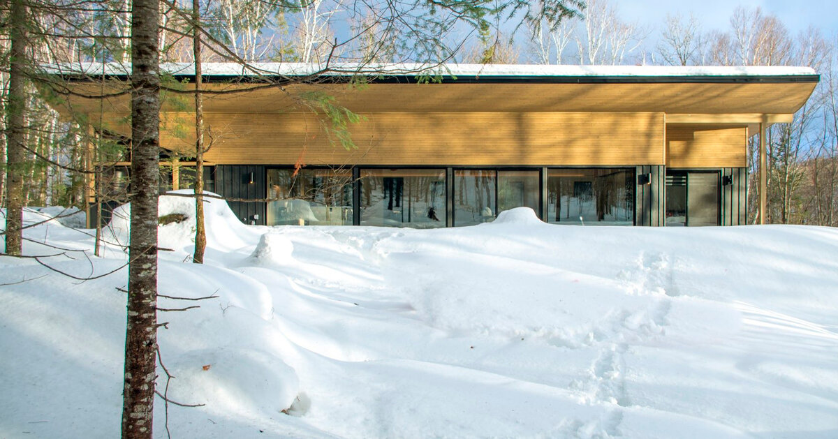 chalet clad in plywood reinterprets early canadian ski culture