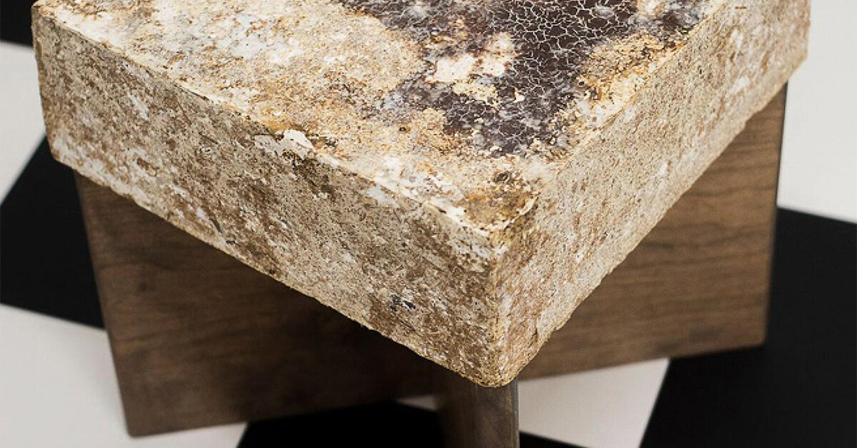 exploring the potential of mycelium in architecture